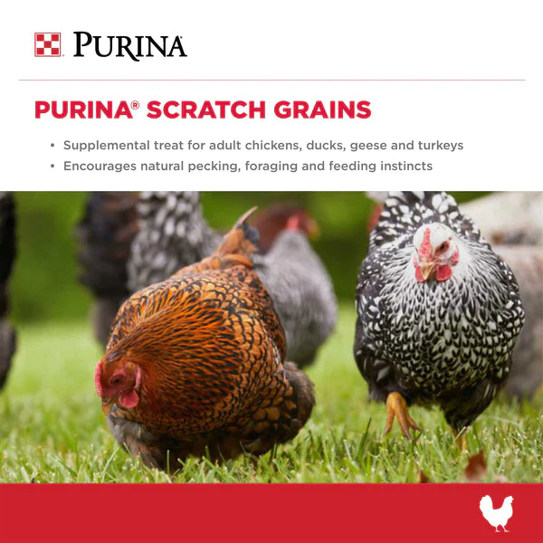 Purina® Scratch Grains 50lb – McGregor General Store