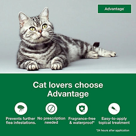 Elanco Advantage for Small Cats 2-9lb – McGregor General Store