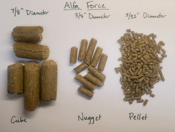 Alfa Force 16/3 Horse Nugget 3/8" "Yellow Tag" – McGregor General Store